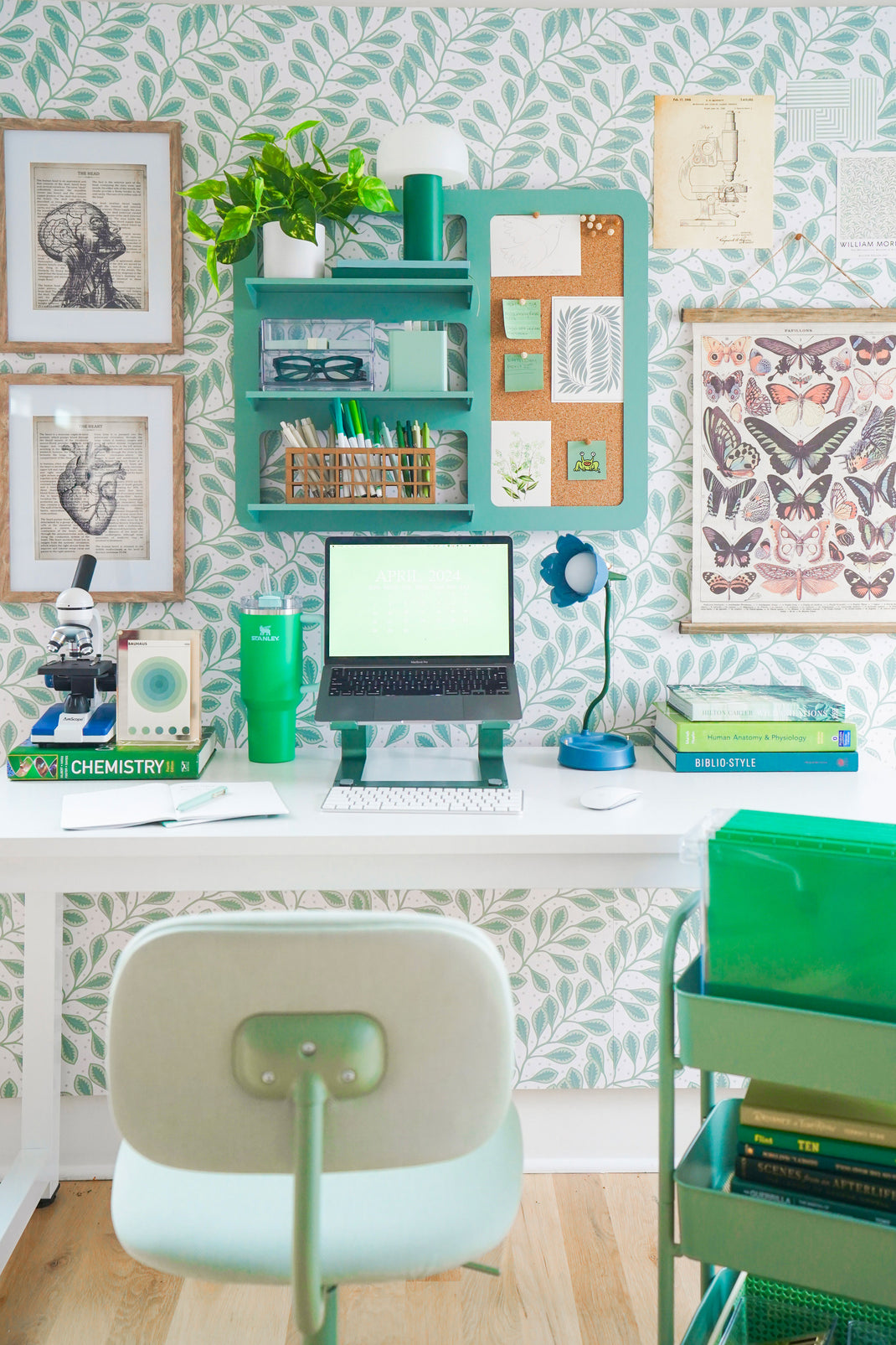 Welcome to The Home Edit